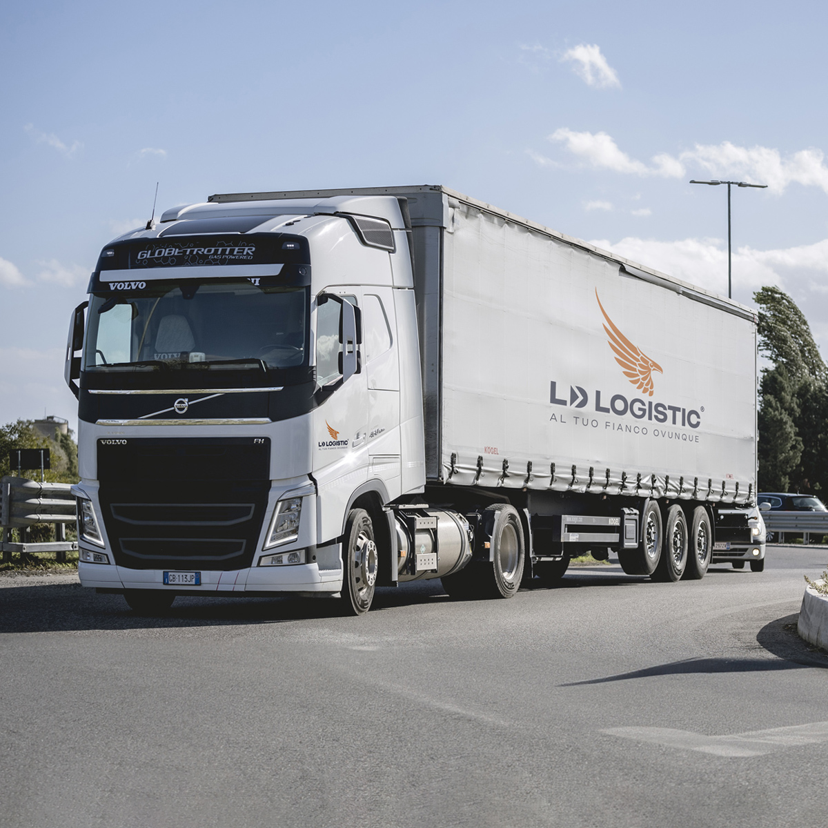 LD Logistic, al tuo fianco ovunque | Trasporto & Logistica